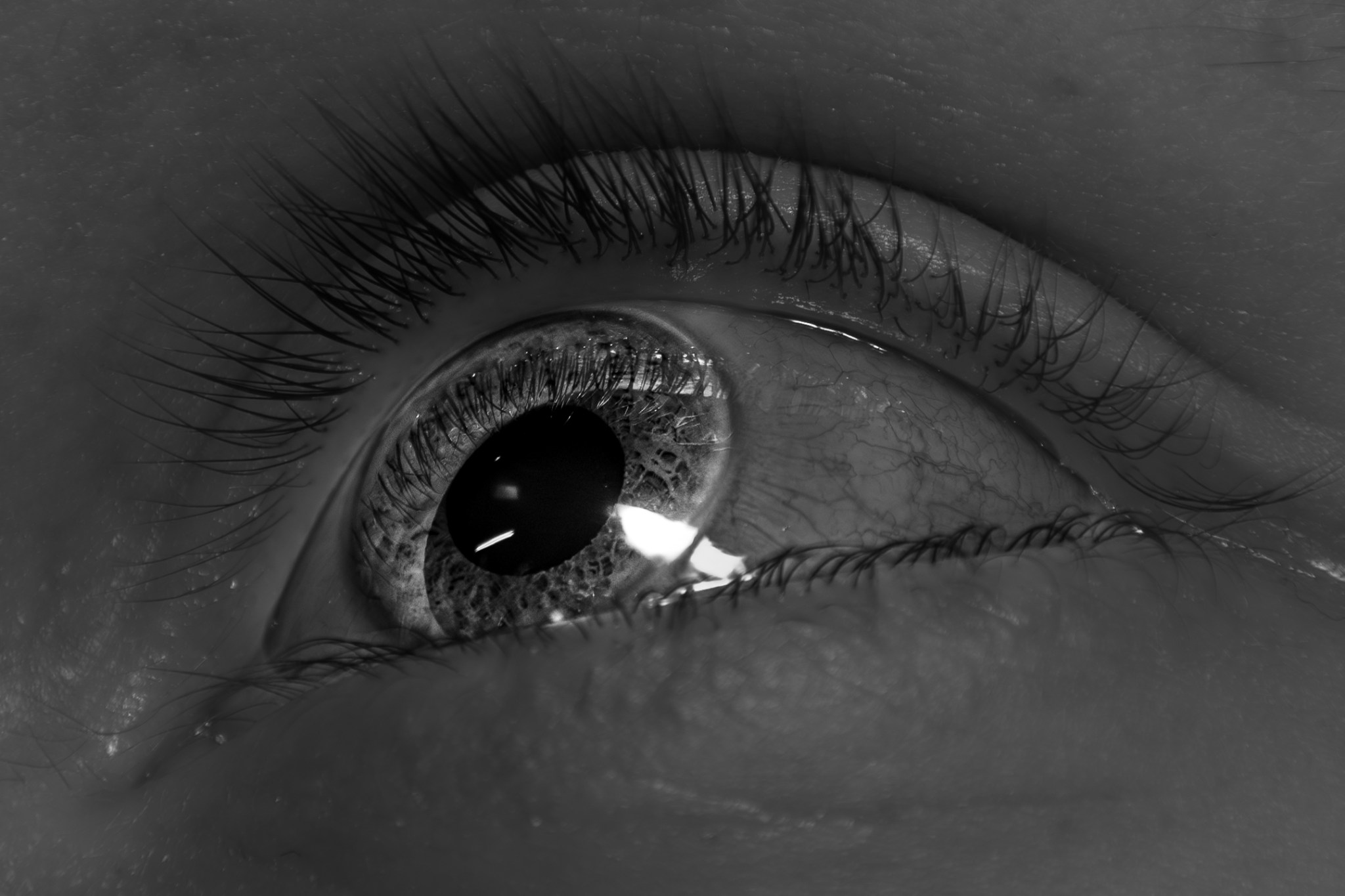 First Photo Idea – Level 3 Photography & Film